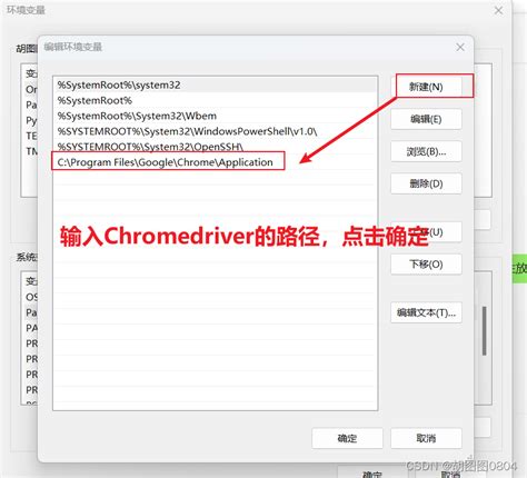 selenium 安装 webdriver （chromedriver版） webdriver chrome driver csdn博客