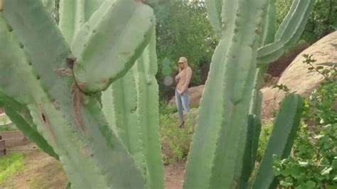 India Summer Videos New Page 25