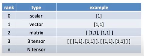 What Is Tensor