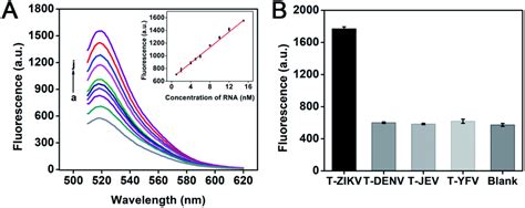 An Interparticle Relatively Motional Dna Walker And Its Sensing