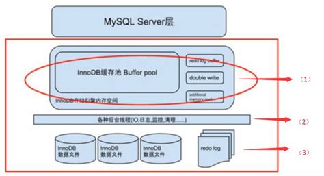 mysql存储引擎 我是一条小青龙小青龙 博客园