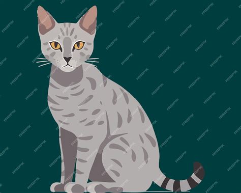 Premium Vector A Cute Sitting Cat Vector Illustration