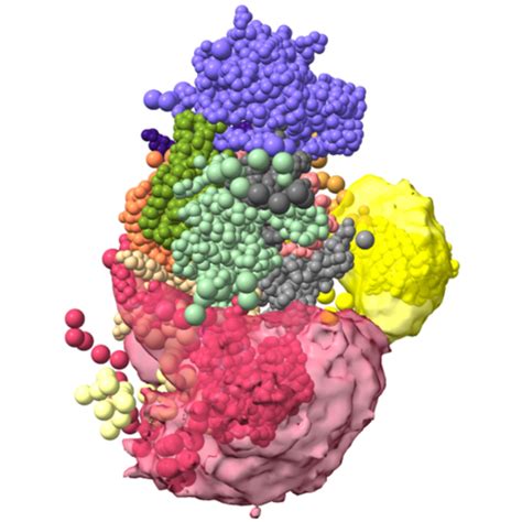 pdb dev validation report