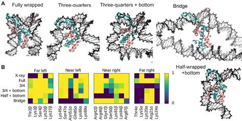 A Representative Structures Of The Different Binding Modes Observed