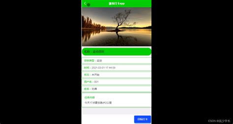 计算机毕设ssm番茄打卡app2klk9（开题 源码） csdn博客