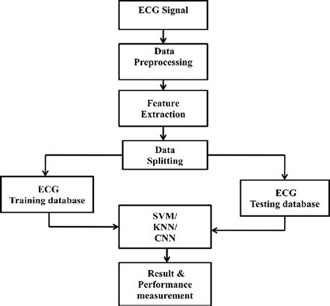 Figure 1 From Ecg Based Biometric Human Identification Using Convolutional Neural Network In