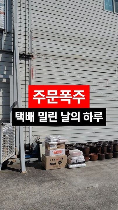 택배 밀린 날 Youtube