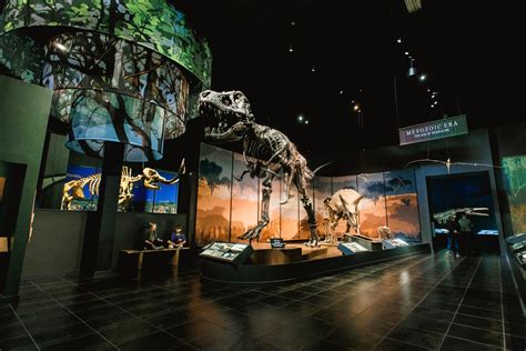 Night At The Museums Read V3