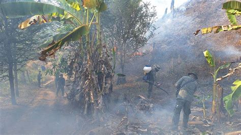 ในประเทศ แม่ฮ่องสอนอ่วม ไฟป่าลามหนัก จนท รับคุมยาก เหตุเป็นผาสูงชัน ลอบเผาป่าลึก