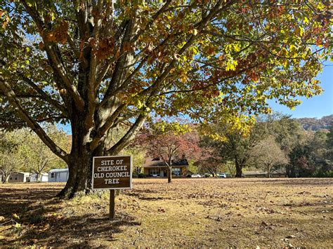 Site Of Cherokee Council Tree Early 1800s The Alabama Ramble