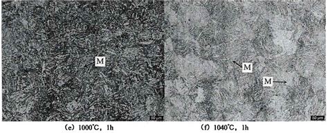 Effect Of Quenching Temperature On Microstructure And Hardness Of 2cr13