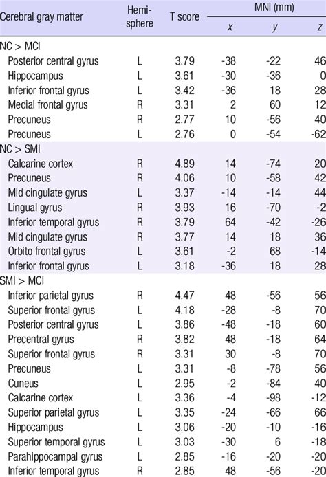 Voxel Based Morphometric Analysis Results Download Table
