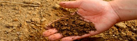 Why Soil Testing Isnt As Boring As It Sounds Building Masters Inspections