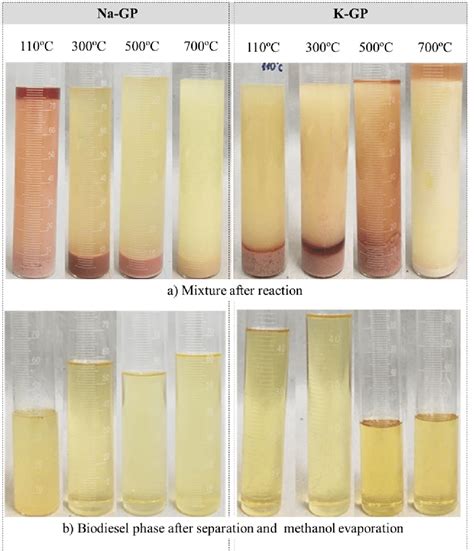 Details Of The Phases Resulting From The Transesterification Of Soybean