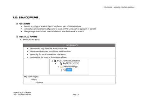 TFS Session 1 Version Control PDF