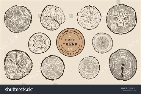 Wood Tree Trunk Rings Hand Drawn Stock Vector Royalty Free Shutterstock