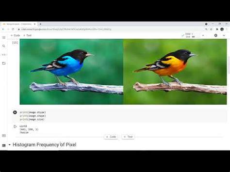 Open Cv Google Colab And Histogram Of Image In Python Image Processing Python Texas