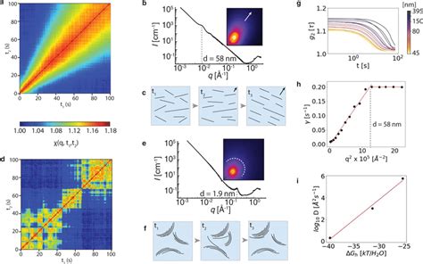 Structural Evolution Of Hydrated Mt A Xpcs Two Time Correlation Of