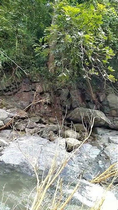 ទឹកធ្លាក់ជ្រាវ Youtube