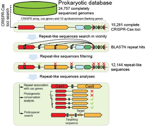 Computational Pipeline For Analysis Of Crispr Repeat Like Sequences Download Scientific Diagram