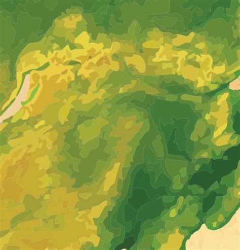 Lines Around Every Piece Of Traced Graphic Coreldraw Graphics Suite X7 Coreldraw Graphics