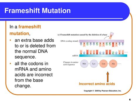 Chapter 17 Nucleic Acids And Protein Synthesis Ppt Download