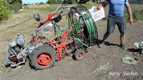 Урожай картошки после полива КОПАЕМ Eng Sub Youtube