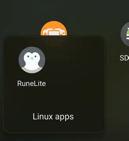 Just Installed RuneLite On My Chromebook Using Developer Linux Options From Instructions From