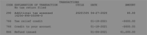 IRS Code 290 What Does It Mean On IRS Transcript