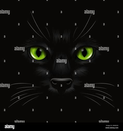 What Animals Eyes Reflect Green In The Dark At Edward Criss Blog