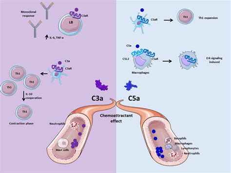 Receptor Antagonist
