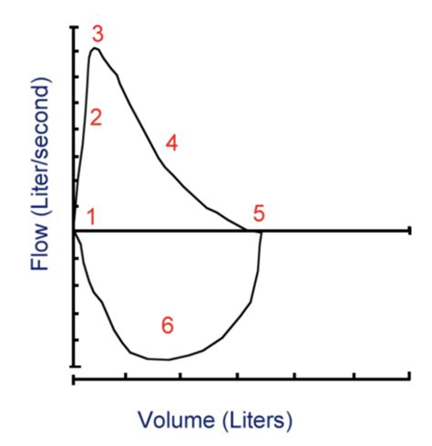 PFT Flashcards Quizlet