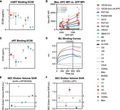 Molecular Parameters Governing Antibody Fcγr Signaling And Effector Functions In The Context Of