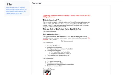 document viewer capabilities in asp core 7 0
