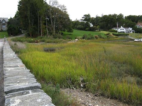 Tidal Wetland Restoration Landtech Engineering And Planning Fairfield