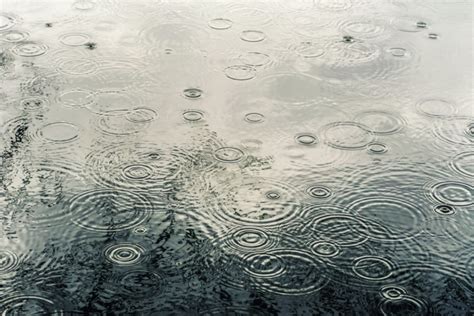 Climate Classification Test Your Knowledge Geographical