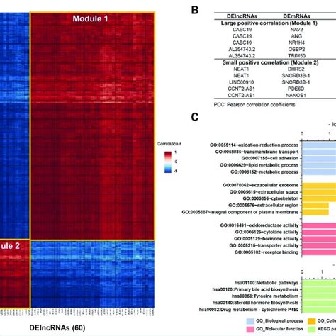 Functional Annotation And Pathway Enrichment Analysis Of Commonly Download Scientific Diagram