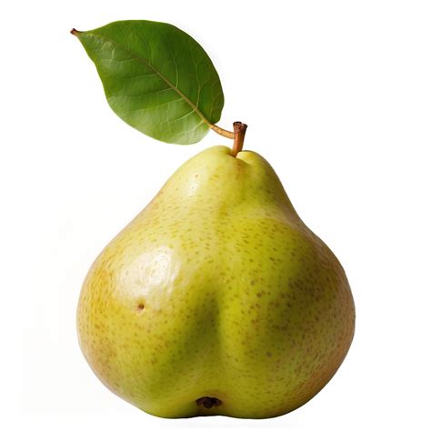 Download Pear D