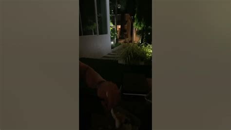 비행기 놓칠뻔한 썰2편 Youtube