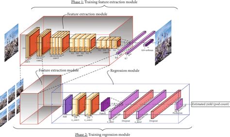 approximate yield pod count estimation model architecture consisting
