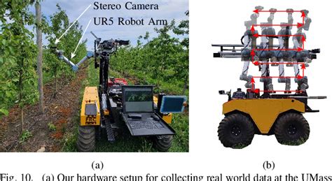 Occlusion Reasoning For Skeleton Extraction Of Self Occluded Tree Canopies