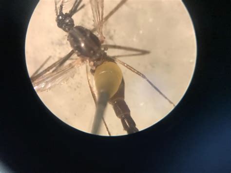 Five Seconds After This Picture Was Taken I Fell Into A Pond