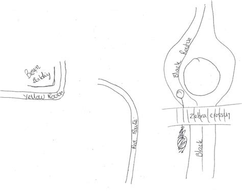 The Sketch Map Drawn By This Passive Passenger Participant Who