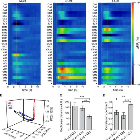 Dynamics And Similarity Of Glomerular Activity Patterns In Sensory Download Scientific Diagram