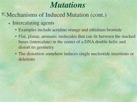 Ppt Microbial Genetics Powerpoint Presentation Free Download Id 496872