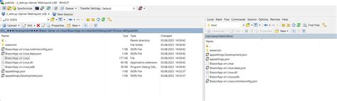 Running Blazor Server Web App On Linux And Apache