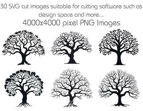 Tree Silhouette Svg Svg Files For Cricut Tree Silhouette Tree Png