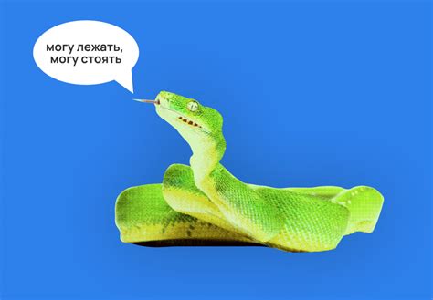 Разработка веб приложений на python django