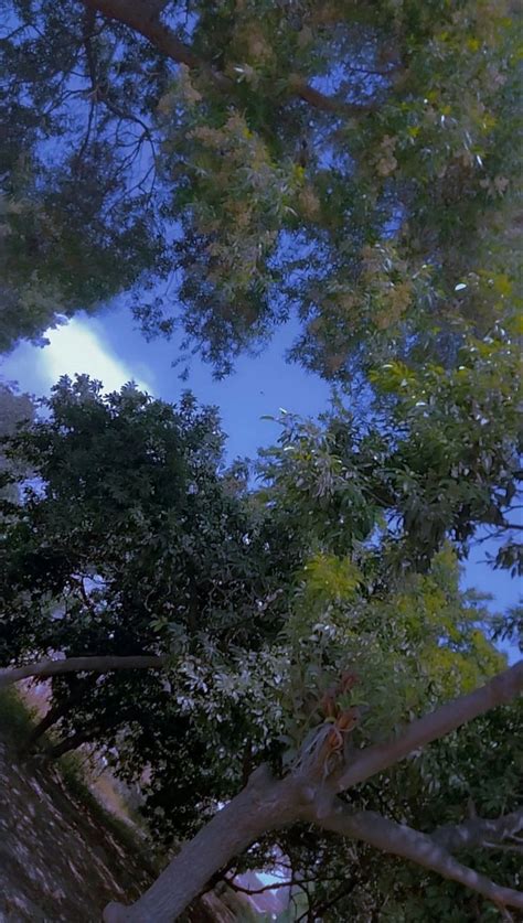 Giaic Maryam Saleem 19 Comments