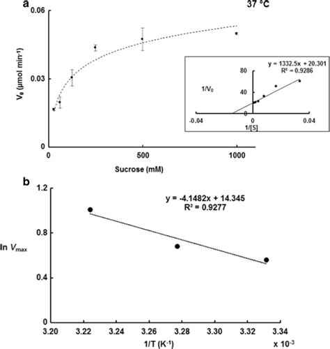 Kinetics Of Sacb For Sucrose Hydrolysis A Hyperbolic Saturation Plot